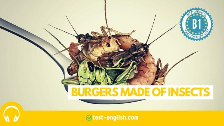 Animals and their bodies and sounds – B1 English Vocabulary - Test-English