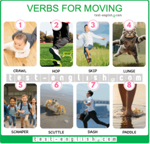 Ways of walking – C1 English Vocabulary - Test-English